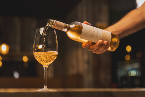 CHILLIT VINOS – Chill it Yucatan